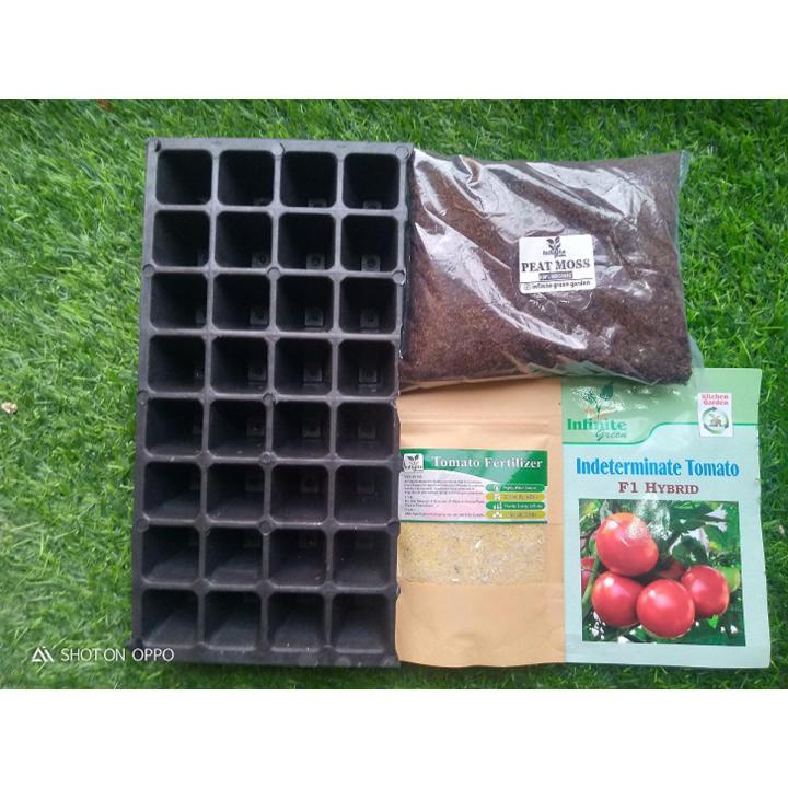 Tomato Growing kit / Tomato seeds starting kit (Hybrid seeds, Seedling ...