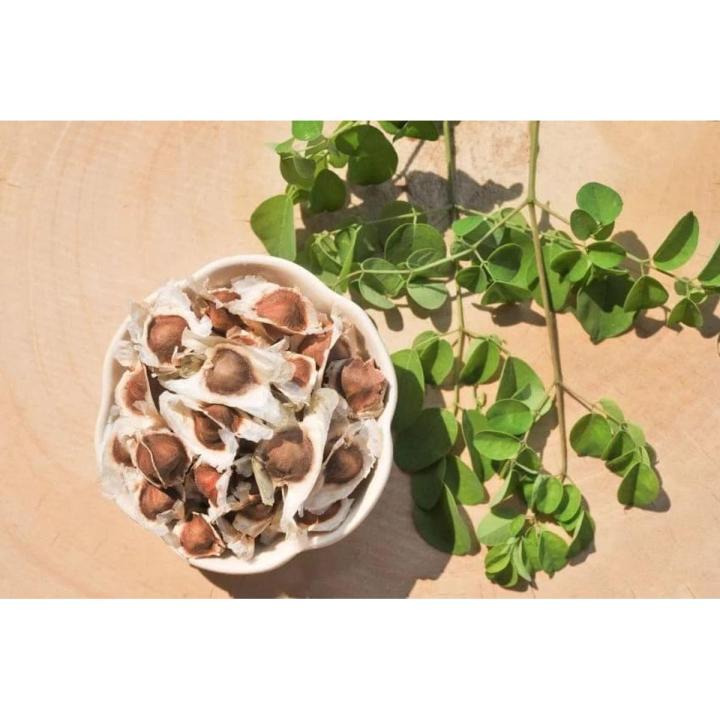 25 Moringa Seeds / Sohanjana Tree Plant Seeds | Daraz.pk