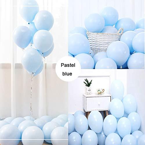 40 Blue Macroon Color - Pastel Blue Color - Light Blue Color Balloons ...