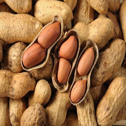 Roasted Peanuts 1000gram (Mongphali) 1kg | Daraz.pk