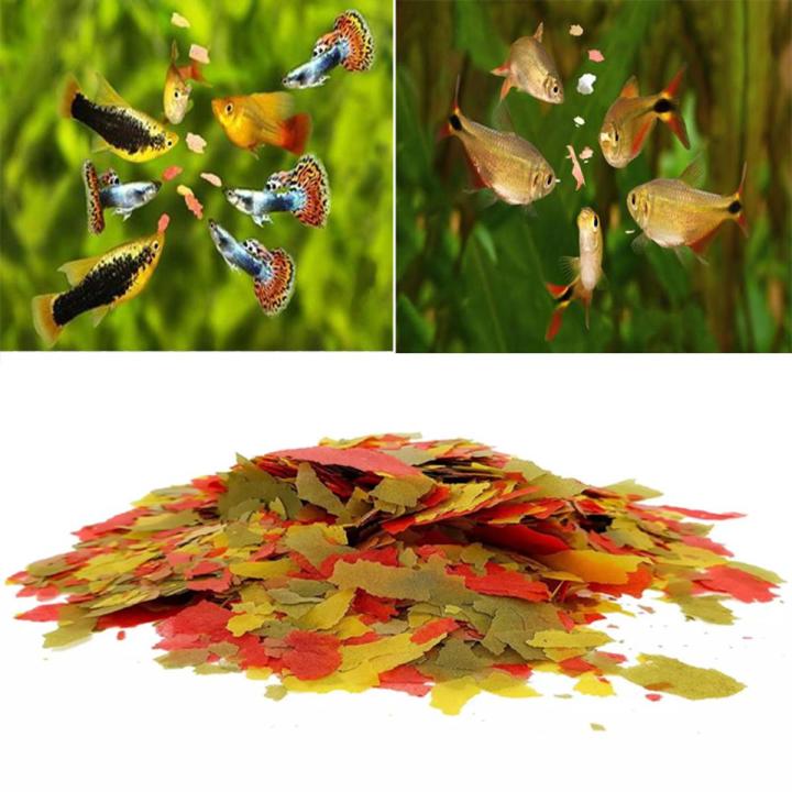 Tropical Fish Flakes Premium Fish Food for Tetras, Guppy’s Cichlids ...