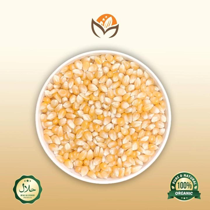 pack of 1Kg- popcorn kernels, best quality kernels, very tasty, needed ...