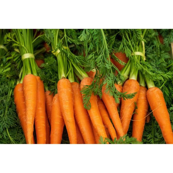 Carrot (Gajar) Seeds | Daraz.pk