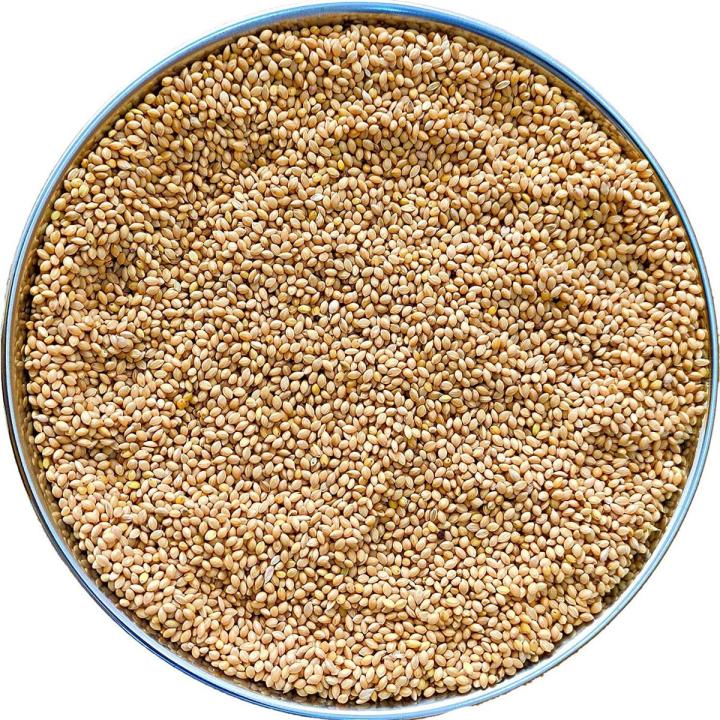 Kangani, bareek kangani, white kangani,Millet Seeds, Birds feed,Birds ...