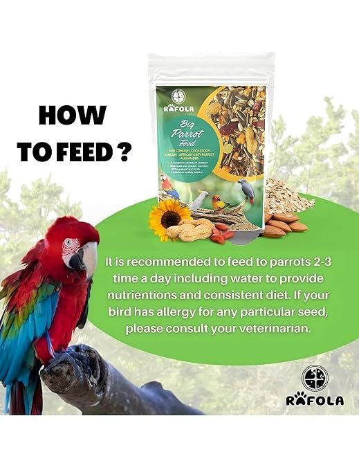RAFOLA Big Parrot Food-Premium Bird Food Granule For Exotic Birds 500gm ...