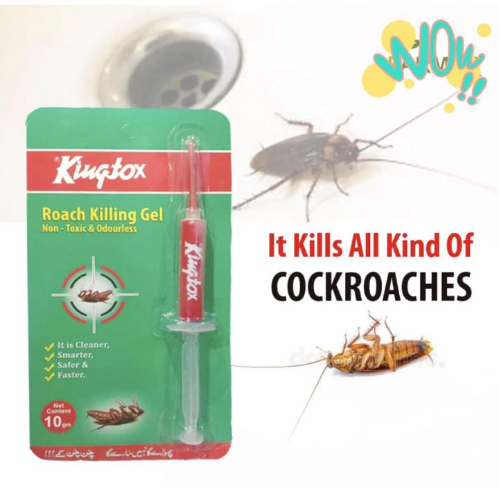 KINGTOX Roach Killing Gel King Gel Injection 10 GRAMS | Daraz.pk