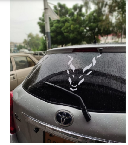 12 Inch X 12 Inch (Large) Markhor, Maarkhor, Markhoor Car Back screen ...