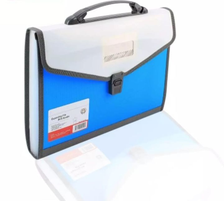Button Folder, Expanding Folder (13-Pocket Sections) | Daraz.pk
