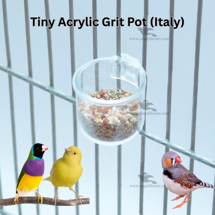 Tiny Transparent Minerals and Grit pot for Finches, Java, Budgies ...