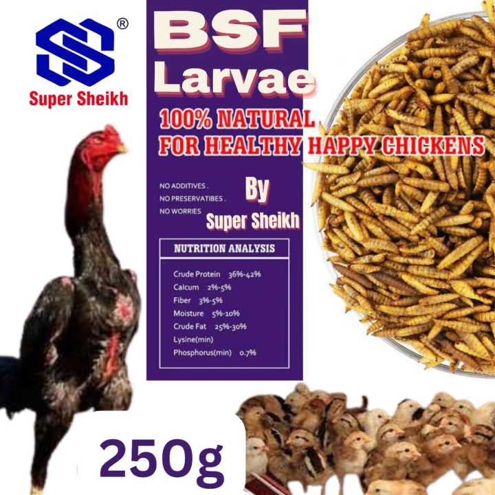 Bsf (Dried Larvae) 250 Grams Meal Worms - Protein Bites - black soldier ...