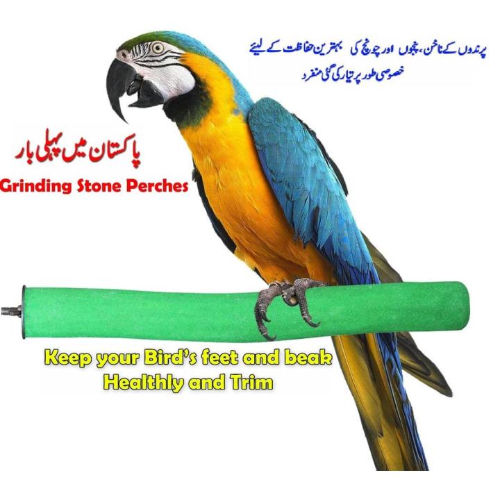 Birds Amazon Sandy stone perch pet Bird Parrot Stand Toy Natural purely ...