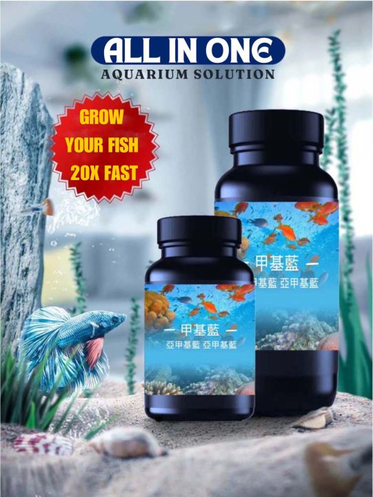 Aquarium Medicine for Fish Health | Complete Fish Tank Care Essentials ...
