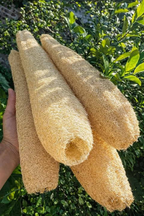100% Natural Loofa1 h Sponge | Original Organic Lufa Bath Scrubber for ...