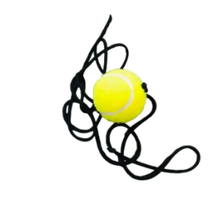 Cricket Hanging ball soft tap training Ball/ Tap ball for Coaching ...