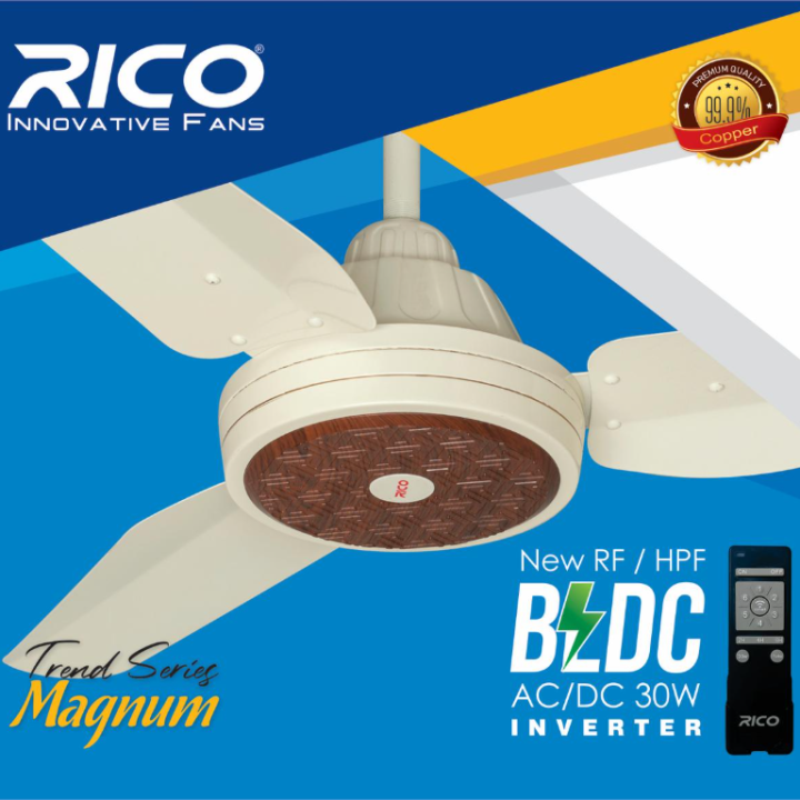 Rico Innovative AC / DC Inverter 30-Watt - Magnum Model 56" - 100% ...