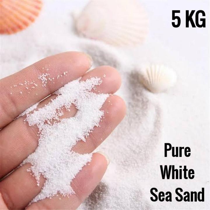 Roohan Trading - Pure White Sand - Sea Sand - Best for Planted and ...