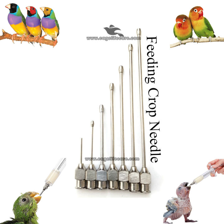 Straight Feeding Crop Needle – For Birds Hand Feeding ( Easy to use ...