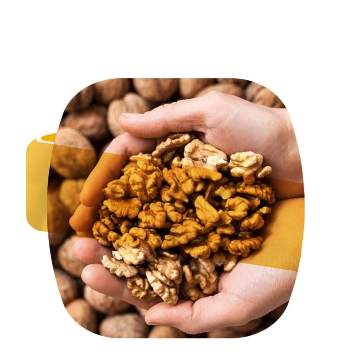 Akhrot Giri - Walnut without shell - 250grams | Daraz.pk