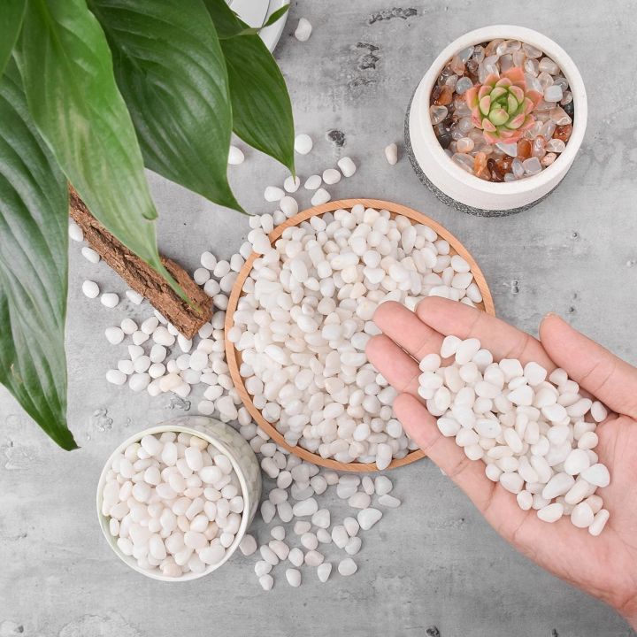 Small White Stones 500g | Decorative Garden Pebbles for Plants, Pots ...