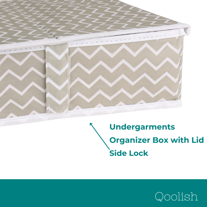 Qoolish Undergarments White Stripes Organizer Box with Lid : Stylishly ...