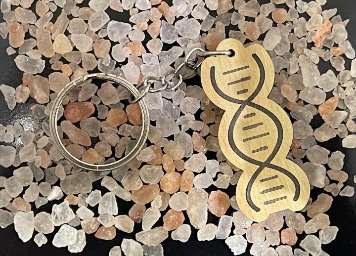 Key Chain, Scientist, DNA, Wood key chain, Scientist's Signature DNA ...