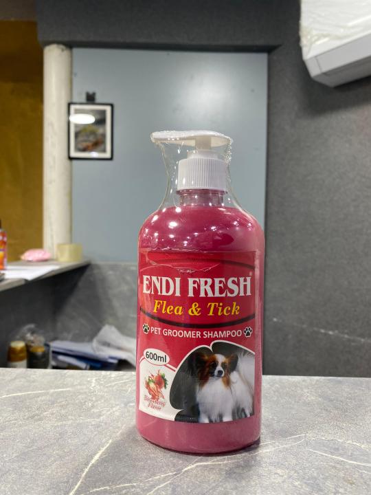 Endi - Dog Shampoo Flea & Tick With Conditioner - Strawbery - 600 ML ...