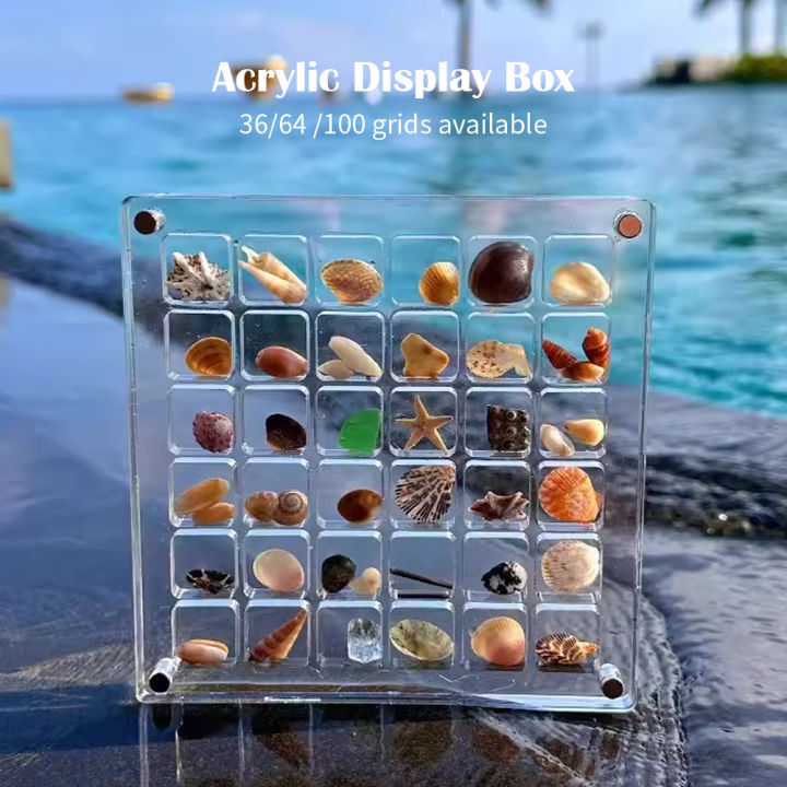 JM Seashell Display Box Acrylic Magnetic Diamond Display Case Acrylic ...