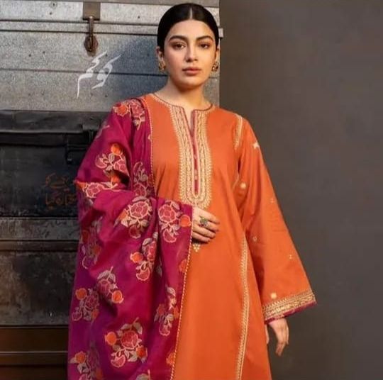 Women's Unstitched Suit Set 3 Piece Traditional Clothing Fabrics Dhanak ...