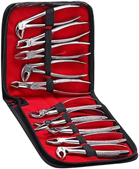 Premium Stainless Steel Dental Tool Kit – 10 Pcs Teeth Care Instrument ...