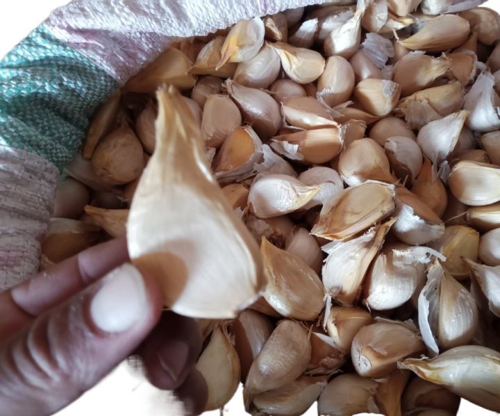 "Premium G1 Garlic: Boost Your Health with Finest Aromatic Flavor ...