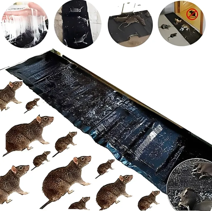 Extra Strong Rat Glue Trap Sheet – Large Size Rodent Sticky Trap ...