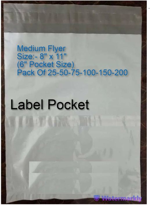 (8x11 + 2 inch flap) Plain Flyer Bags With Pocket For Address Pack of ...