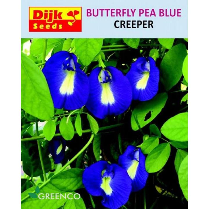 Butterfly Pea Creeper Summer Season Flower Seeds | Daraz.pk