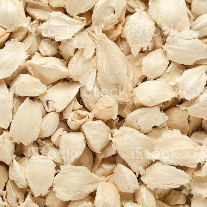 White Moringa / Sohanjna Tree Plant Flower Seeds - High Germination ...