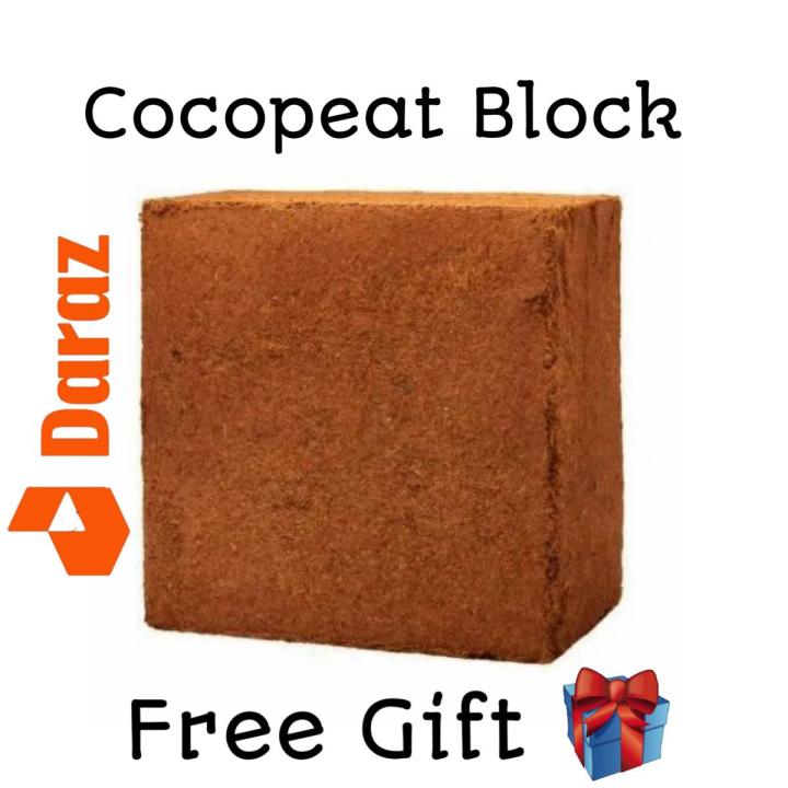 Coco Peat (Block)- 5 Kg block approx Premium Quality by LCOFs | Daraz.pk
