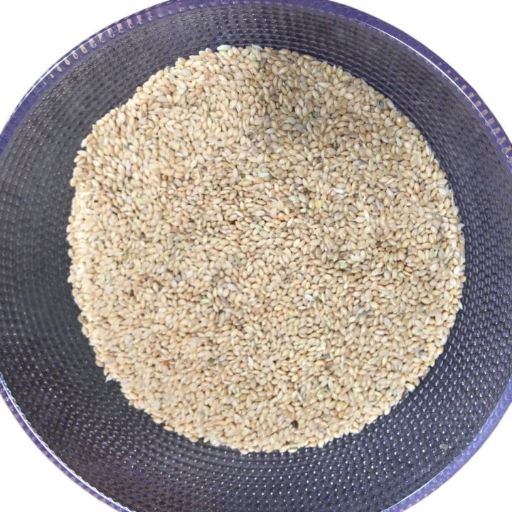 Cheena Moti Kangni ,white cheena ,Yellow Millet, Millet Seeds, Birds ...