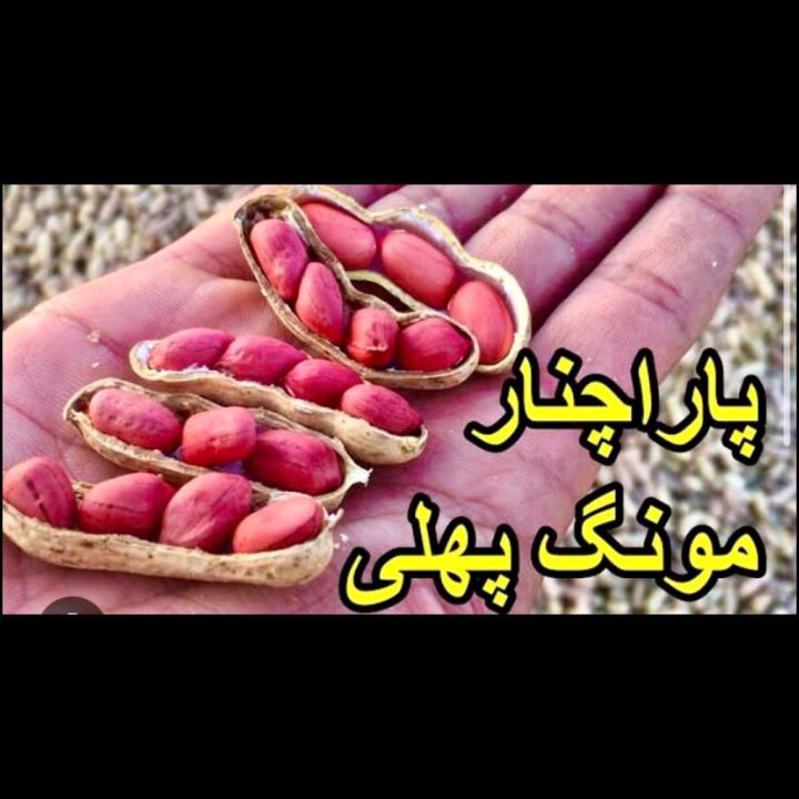 moong phali 1000gram/1kg Parachanar roasted premium quality mong phali ...