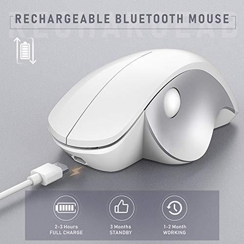 MV21B Wireless Mouse 2.4GHz Precision Cordless Mouse with Thumb ...