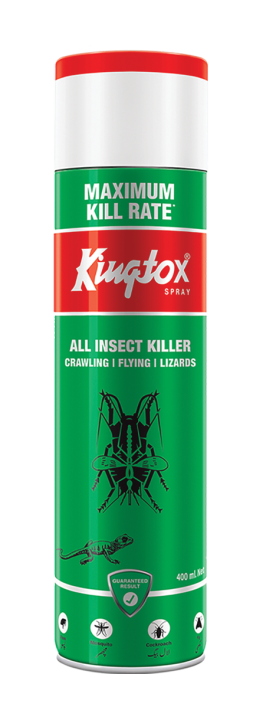 Kingtox All Insect Killer Spray 400ml | Daraz.pk