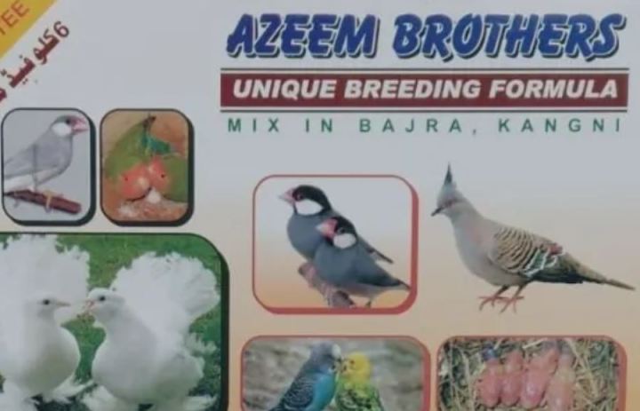 Powder Breeding Formula | for 6kg | birds budgies Parrots Finches ...