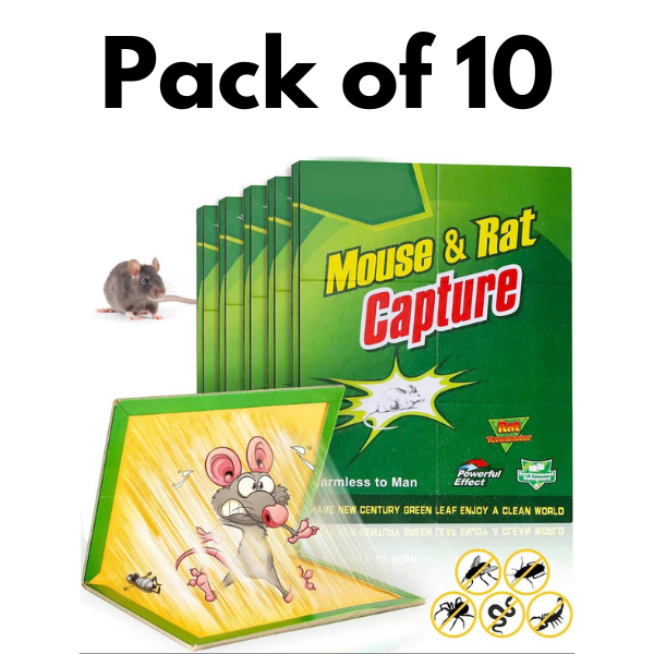 Pack Of 10 Pasban Expert Rat Killer Mouse Catcher Glue Board Catch Trap ...