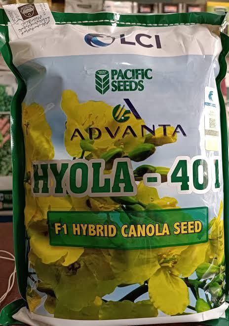 F1 HYBRID Canola Seed 100% Pure Seed | Daraz.pk