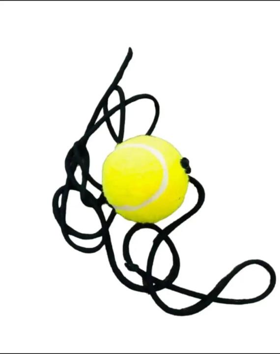 Cricket Ball-Hanging Rubber Ball/Tape Ball Attached String/Rope/Cord ...