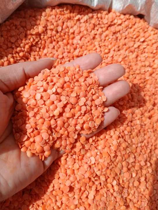 Daal Masoor 1kg (Premium Grains) | Daraz.pk