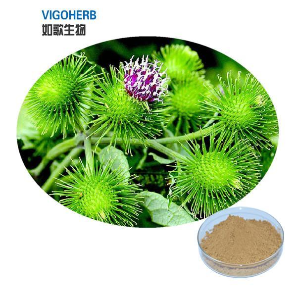 Natural Burdock Root Extract Powder 500g | Daraz.pk