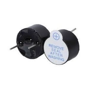 PACK OF 2 Active Buzzer 5V DC Electromagnetic Mini Piezo Buzzer | Daraz.pk