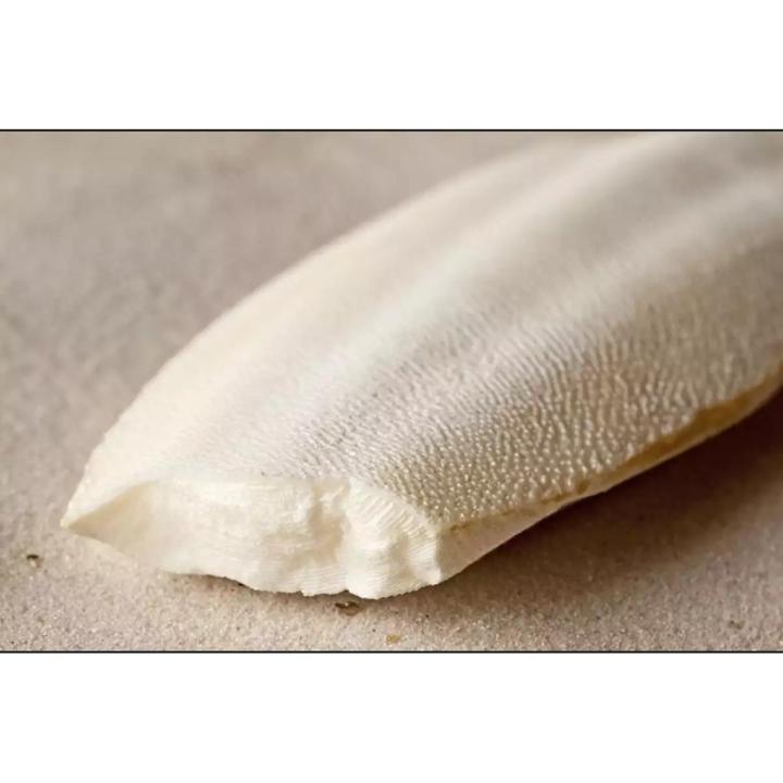 100 GRAMS CUTTLEBONE JHAG samandari jhaag samundari jhag CALCIUM FOR ...