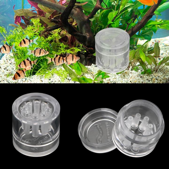 Practical 2023 for Fish Aquarium Cleaner Tool Planaria Acrylic Pest ...