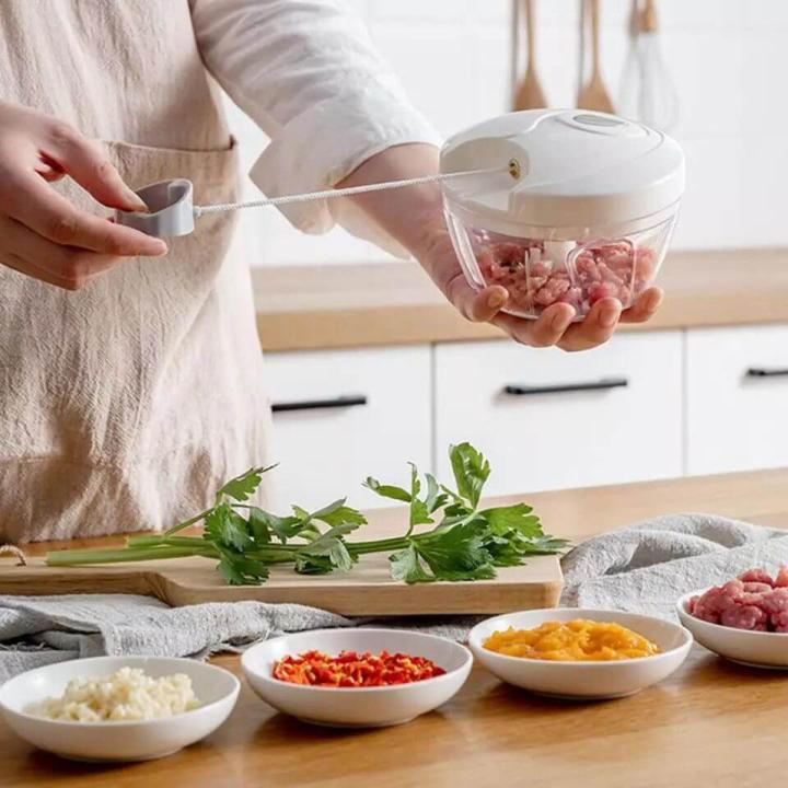Manual Food Chopper, Compact & Powerful Hand Held Vegetable Chopper ...