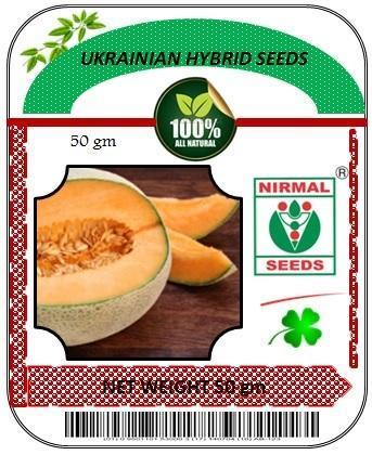 Hybrid melon seeds 50 gm | Daraz.pk